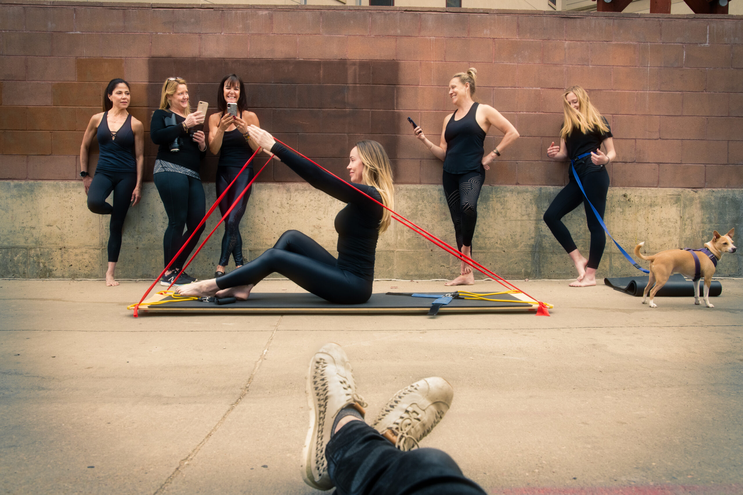 From Beginner to Pro: How Resistance Bands Can Transform Your Workout ...